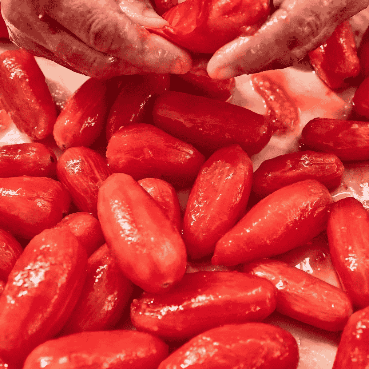 Casa Marrazzo San Marzano DOP Peeled Tomatoes (28oz) – BrickOvenBaker